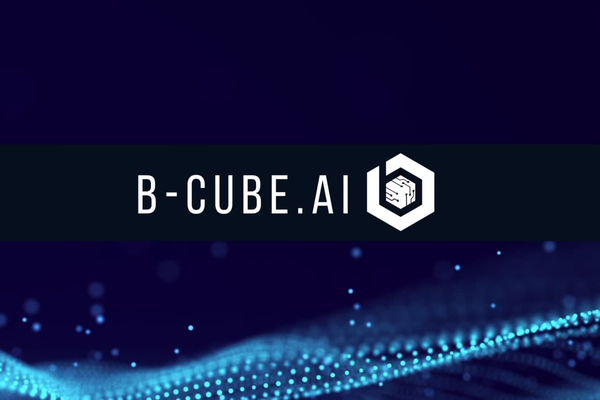 What is B-Cube?