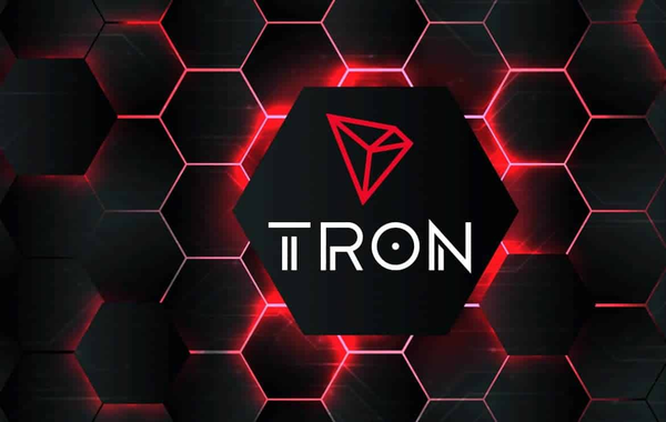 TRON Adoption Continues Due To Stablecoin And Meme Coin Frenzy